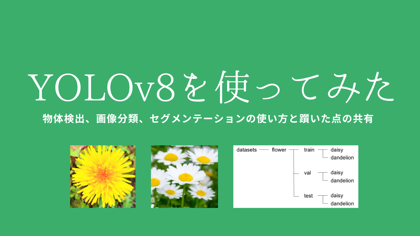 Yolov8を使ってみた｜colors 
